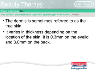 Ap skin-03 | PPT | Skin and Dermatology | Diseases and Conditions
