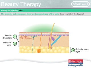 Ap skin-03 | PPT