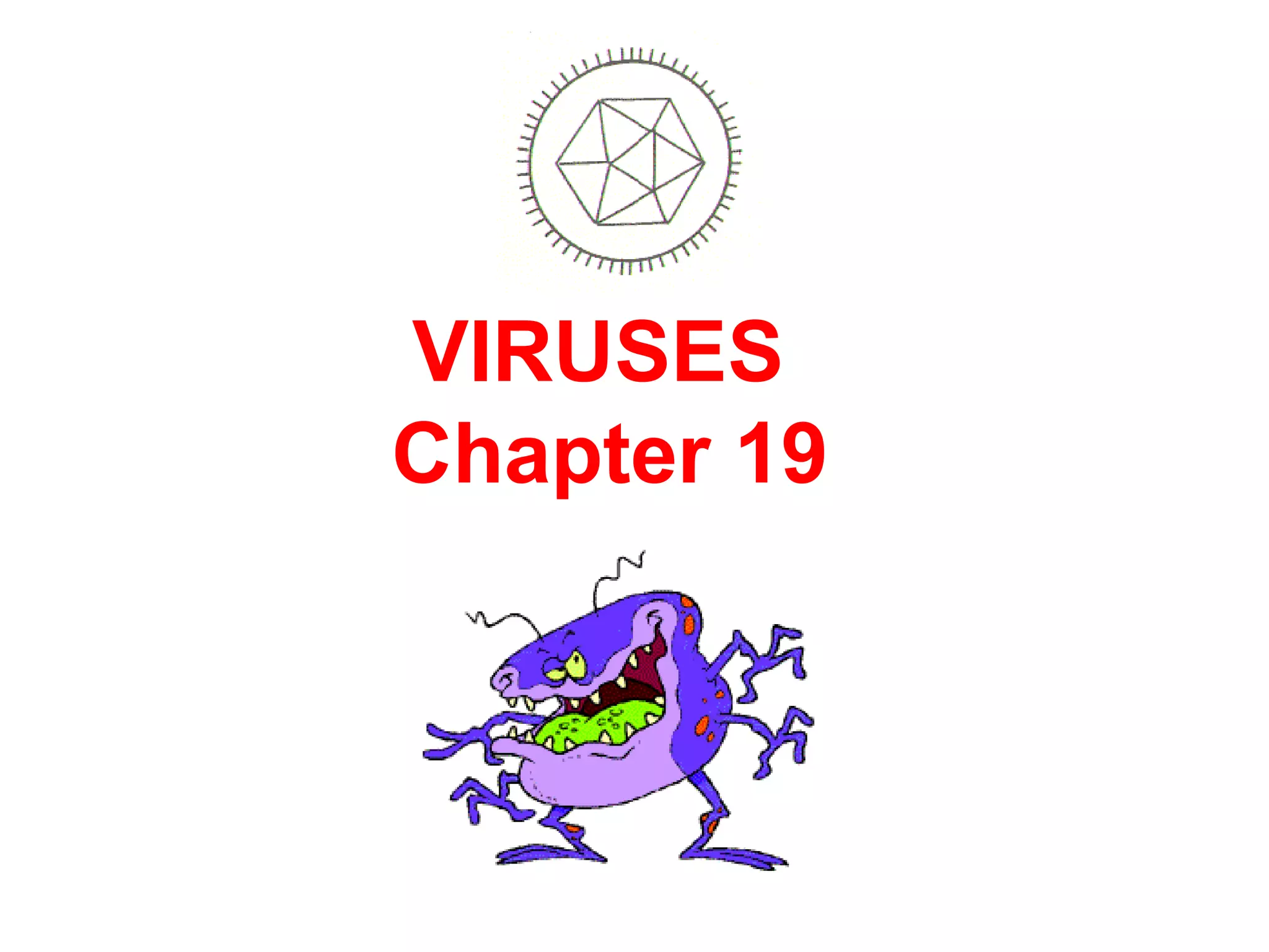 Ap Viruses | PPT