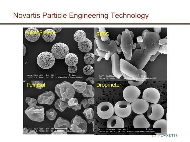 Particle Size Analysis for Pharmaceutical Homogenization Process ...