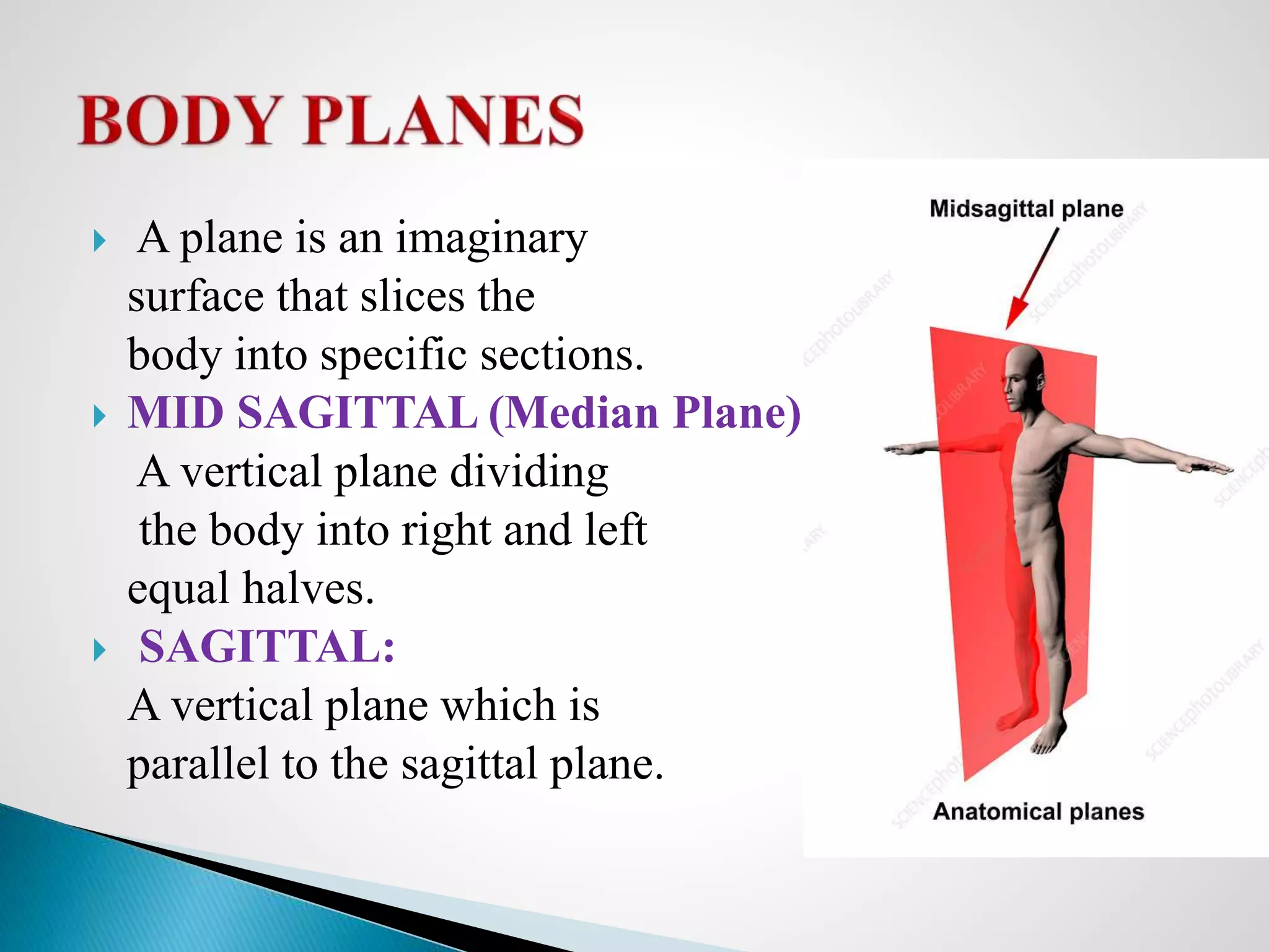 Introduction to Anatomy and Organization of human body | PPTX