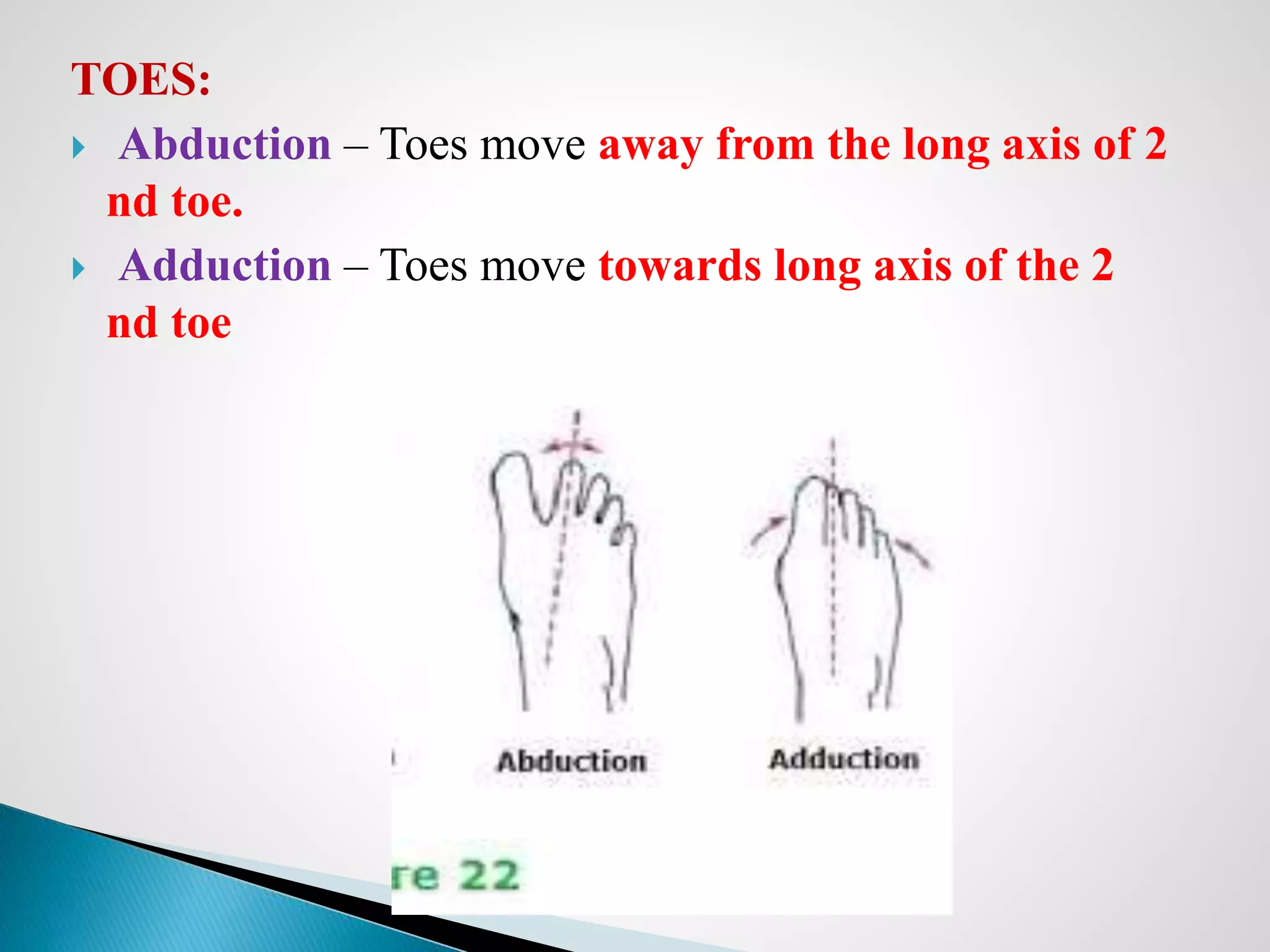 Introduction to Anatomy and Organization of human body | PPTX