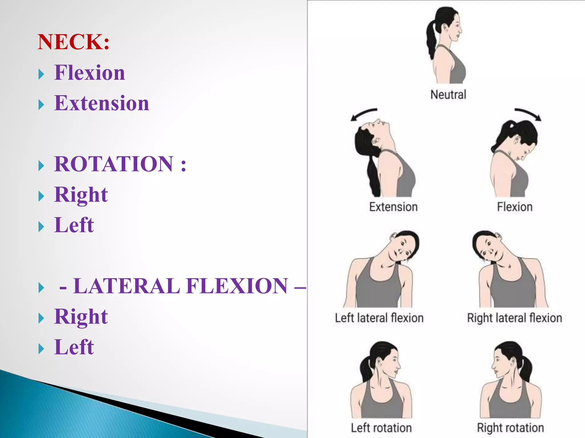 Introduction to Anatomy and Organization of human body | PPTX