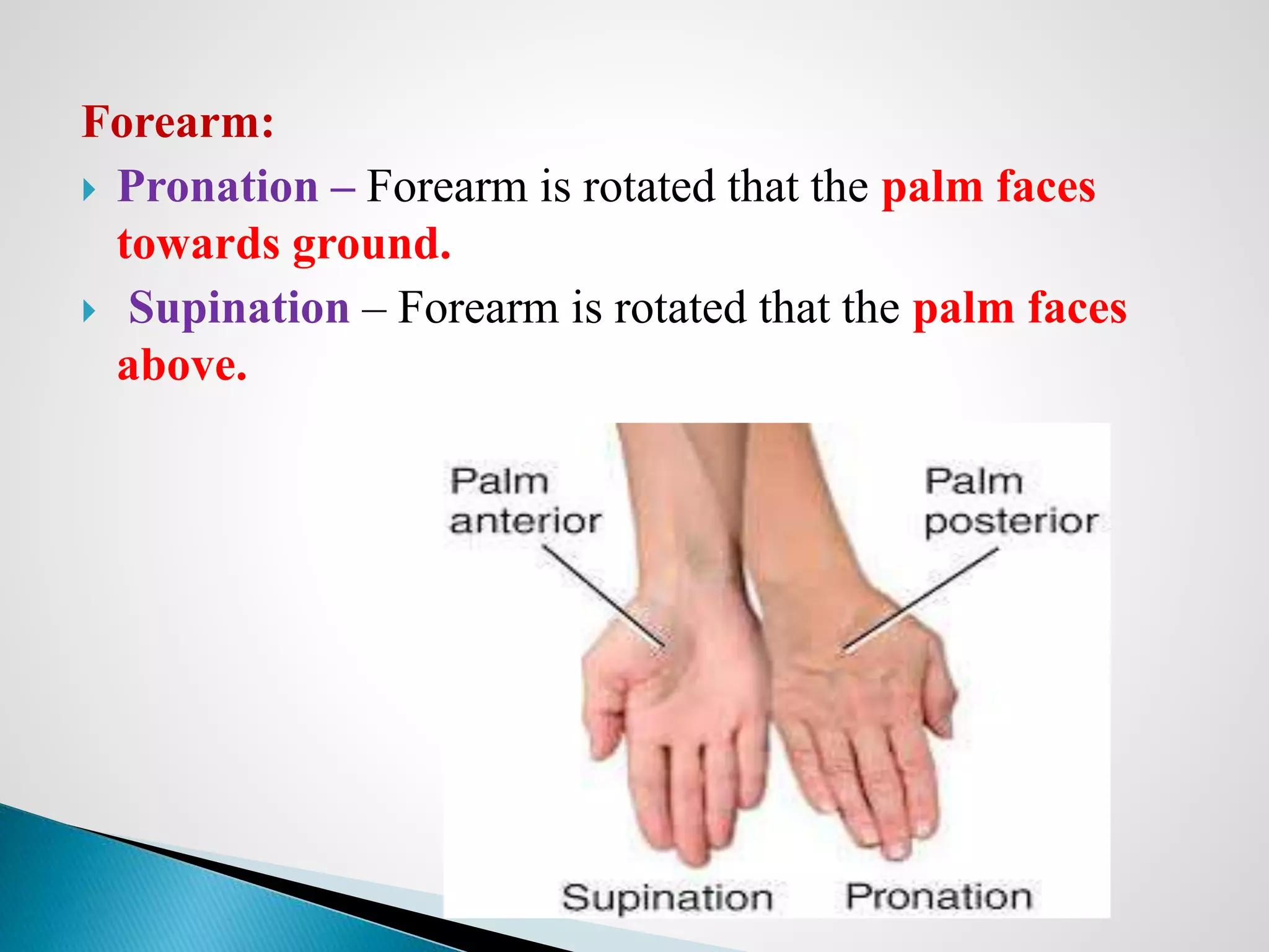 Introduction to Anatomy and Organization of human body | PPTX