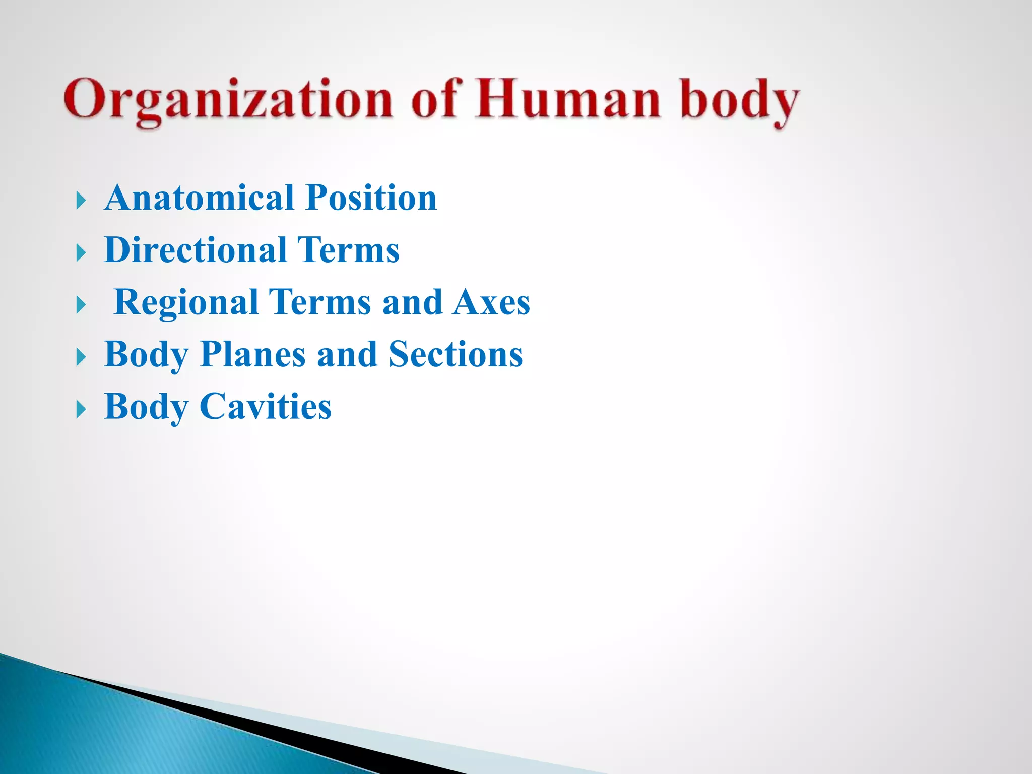 Introduction to Anatomy and Organization of human body | PPTX