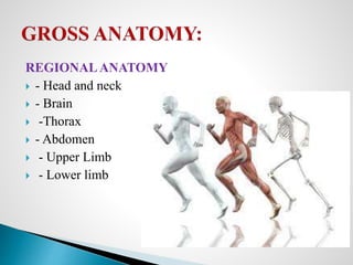 Introduction to Anatomy and Organization of human body | PPTX