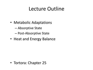 AP104 - Lesson 10 - Metabolism III.pptx