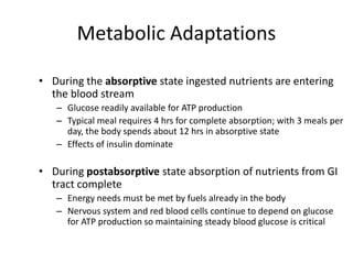 AP104 - Lesson 10 - Metabolism III.pptx