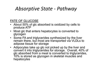 AP104 - Lesson 10 - Metabolism III.pptx
