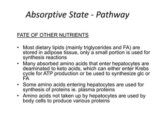 AP104 - Lesson 10 - Metabolism III.pptx