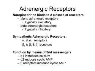 A&p 17 receptors and signaling of the ans | PPT