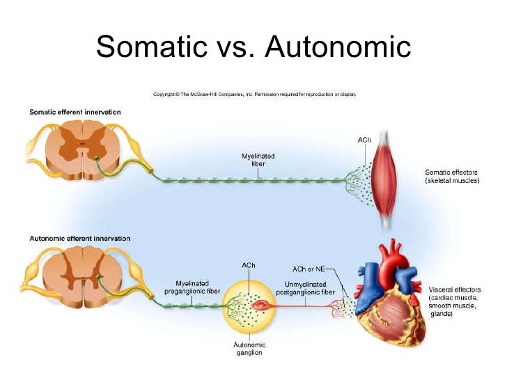 A&p 18 ans integration