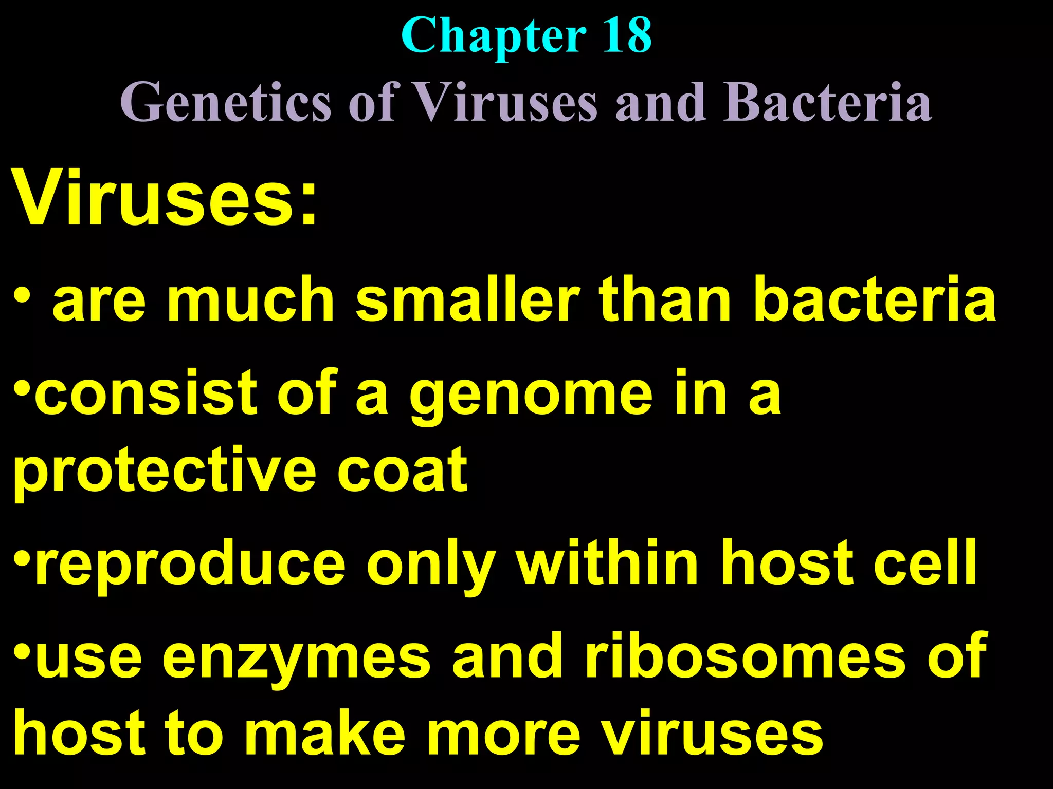 Ap 18 genetics_of_viruses_and_bacteria | PPT