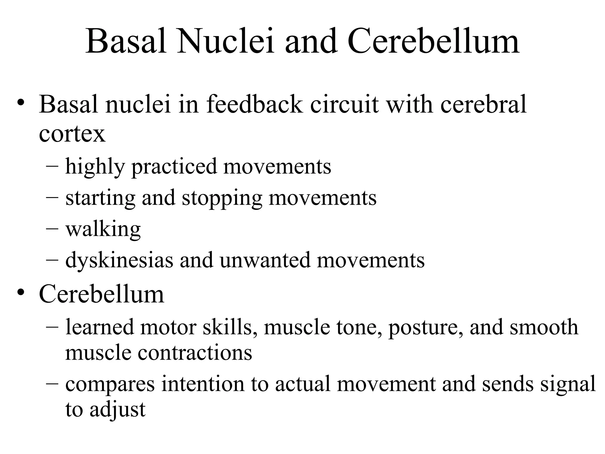 A&p 19 neural integration | PPT