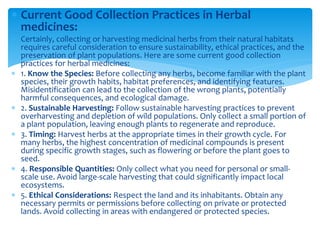 Plant Drug Cultivation | PPTX