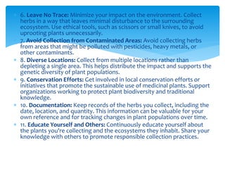 Plant Drug Cultivation | PPTX
