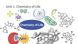 AP 2024 Unit 1 Updated Chemistry of Life | PPT