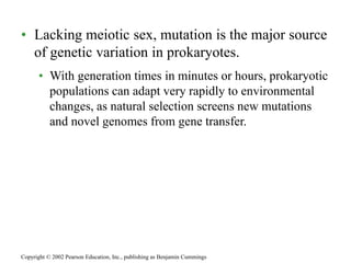 Ap27 prokaryotes | PPT