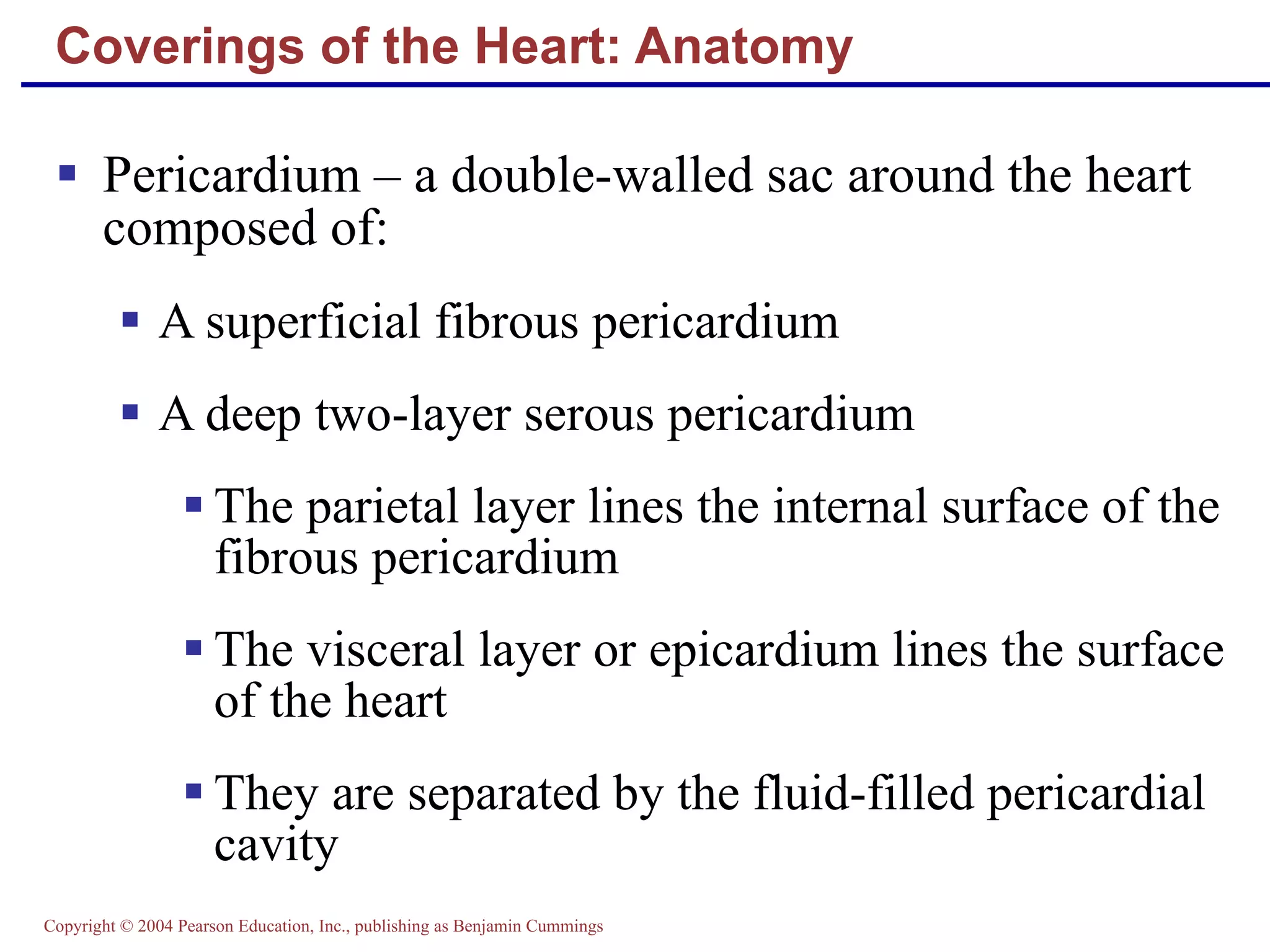 Ap2 chap18heartclass | PPT | Heart and Cardiovascular Diseases ...