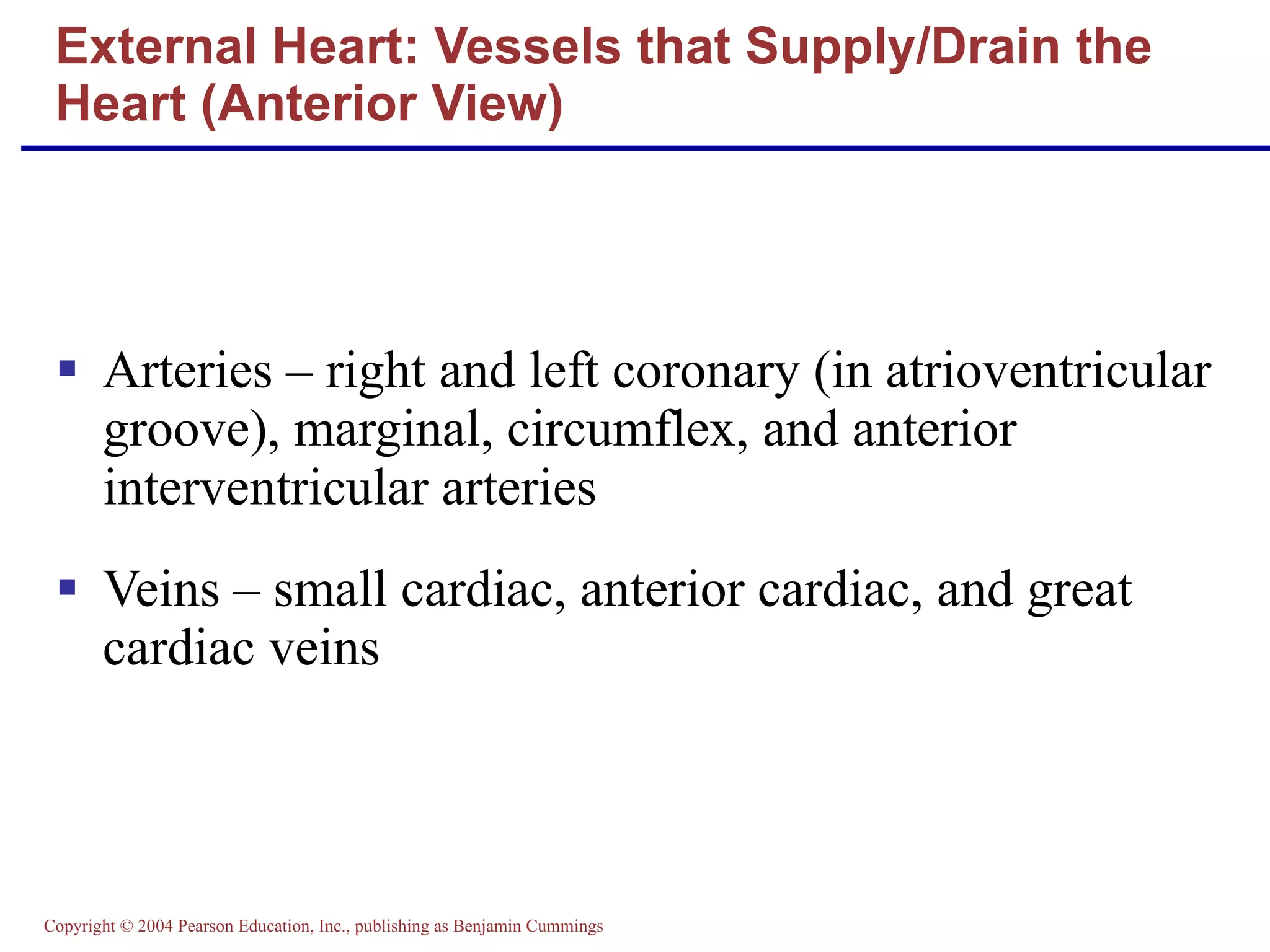 Ap2 chap18heartclass | PPT | Heart and Cardiovascular Diseases ...