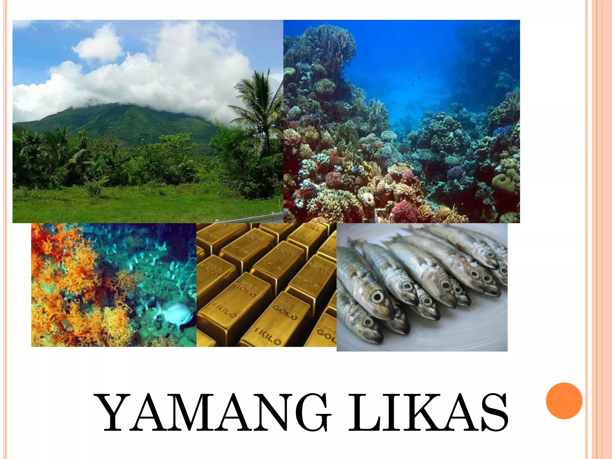 Ap 4 ibat-ibang uri ng likas na yaman | PDF