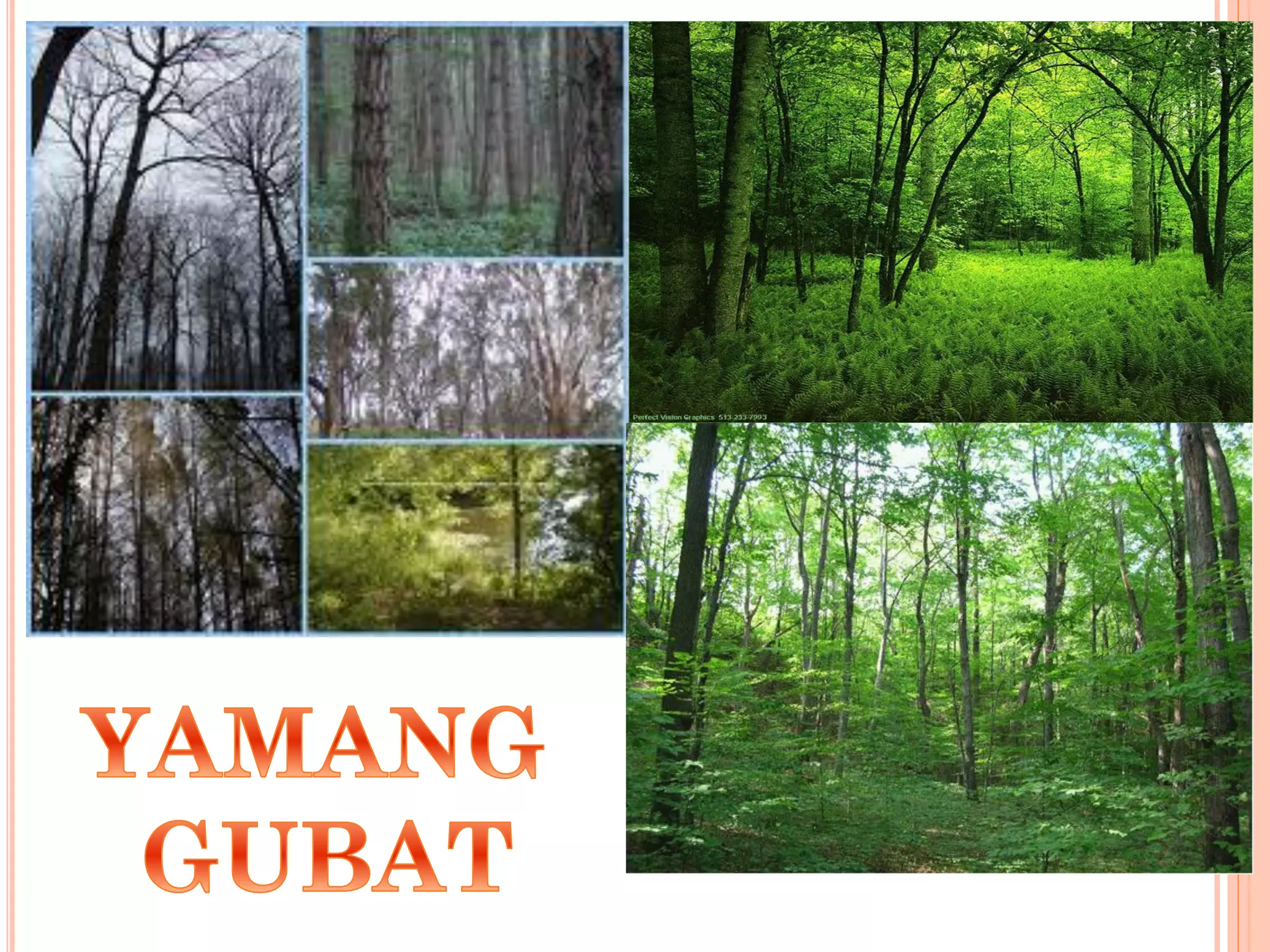 Ap 4 ibat-ibang uri ng likas na yaman | PDF