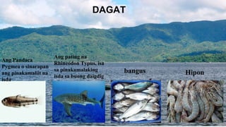 AP 4-Q2 (Week 1).pptx