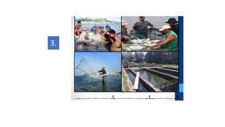 AP 4 Week 5.pptx