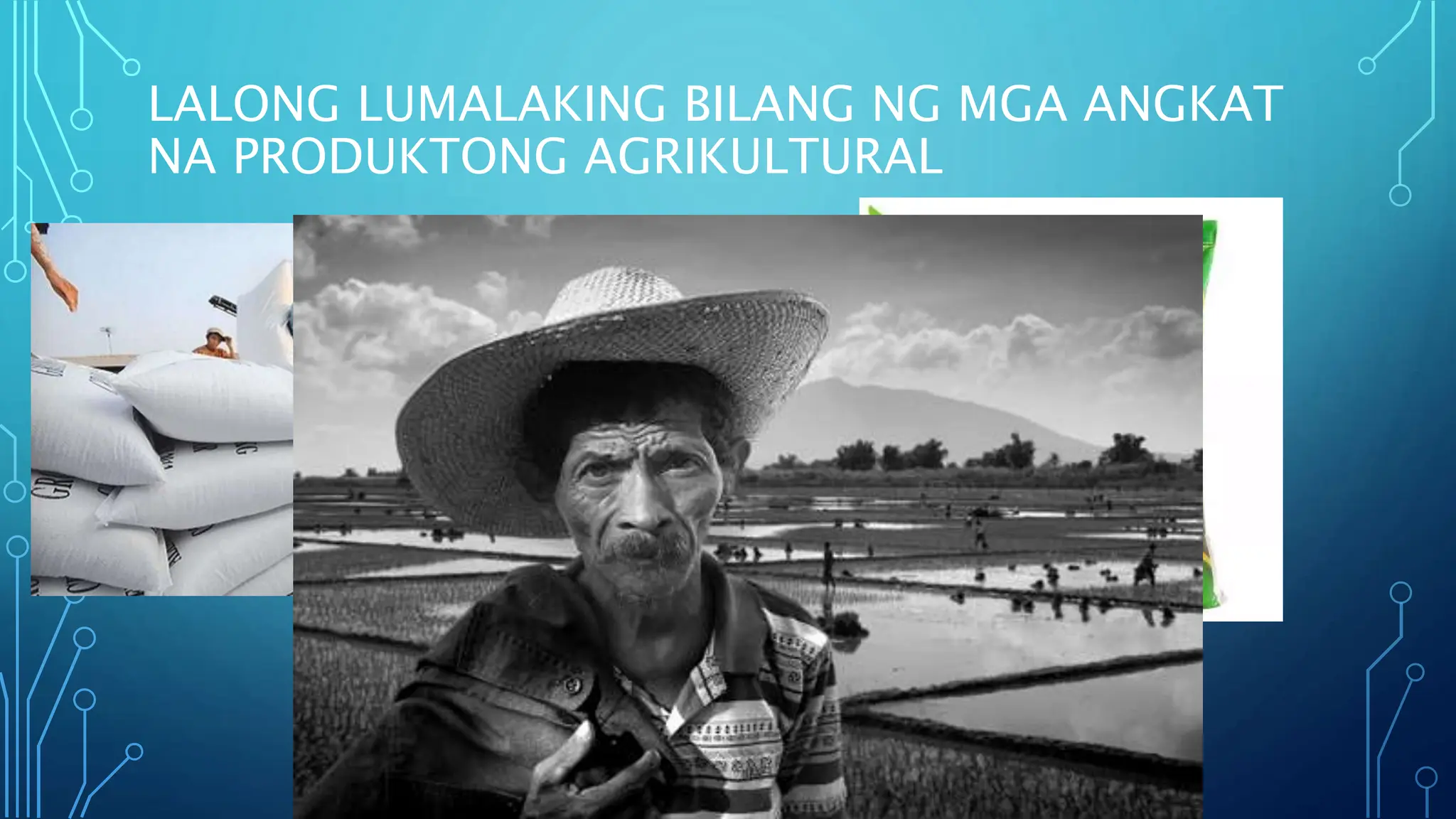Ap 4 Week 6 Q2 Hamon at Pagtugon sa mga Gawaing Pangkabuhayan ng.pptx