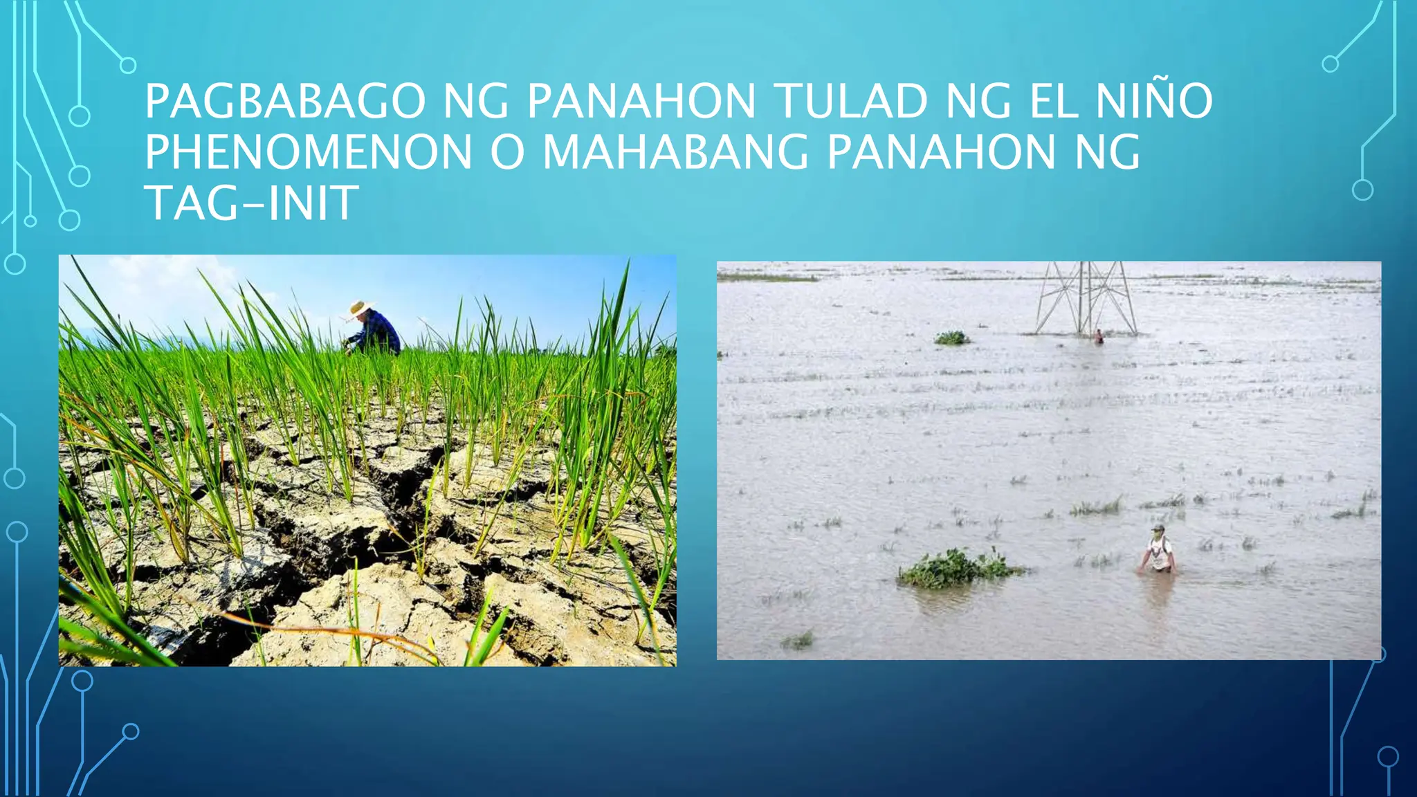 Ap 4 Week 6 Q2 Hamon at Pagtugon sa mga Gawaing Pangkabuhayan ng.pptx