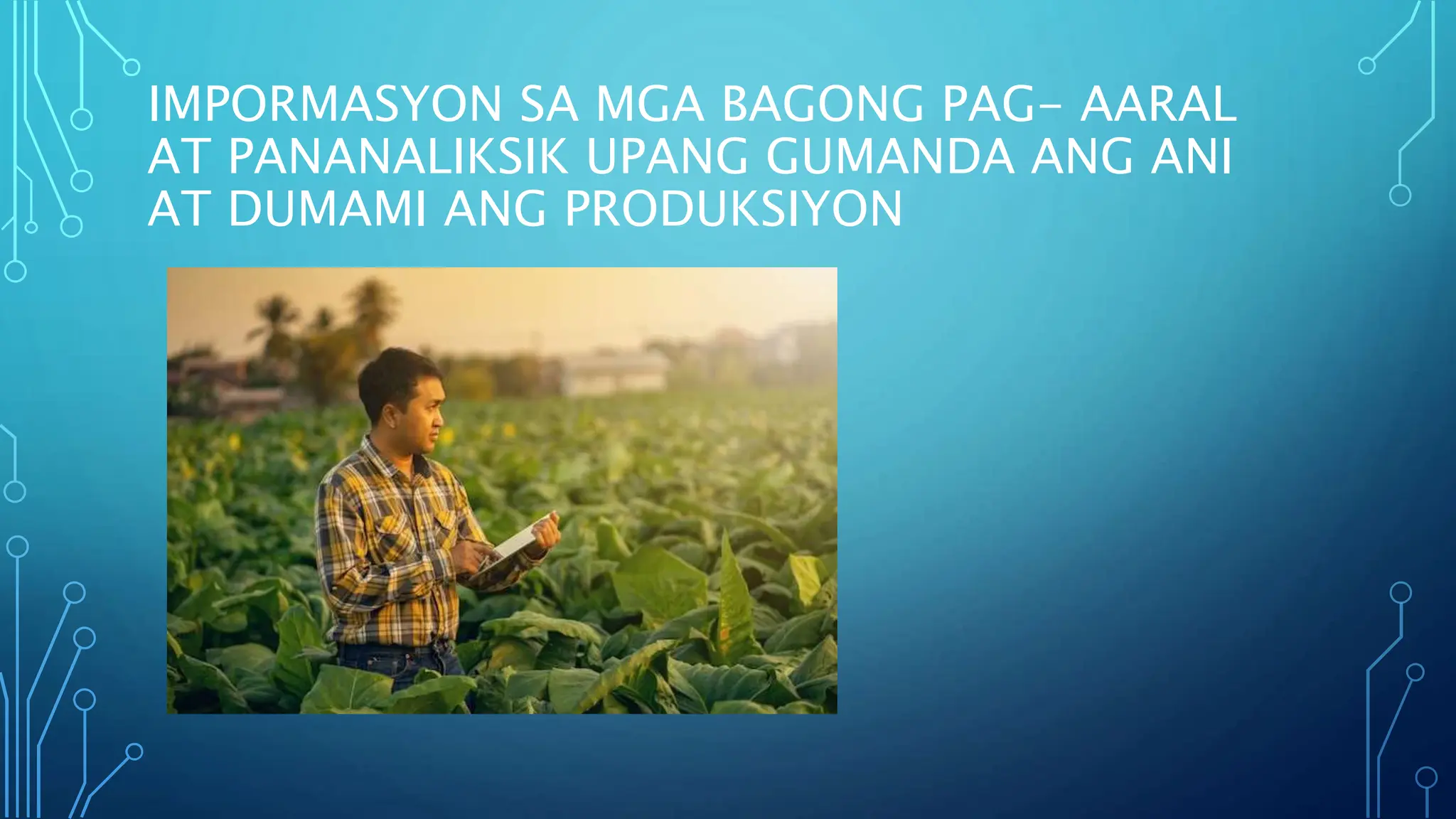 Ap 4 Week 6 Q2 Hamon at Pagtugon sa mga Gawaing Pangkabuhayan ng.pptx