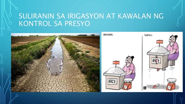 Ap 4 Week 6 Q2 Hamon at Pagtugon sa mga Gawaing Pangkabuhayan ng.pptx