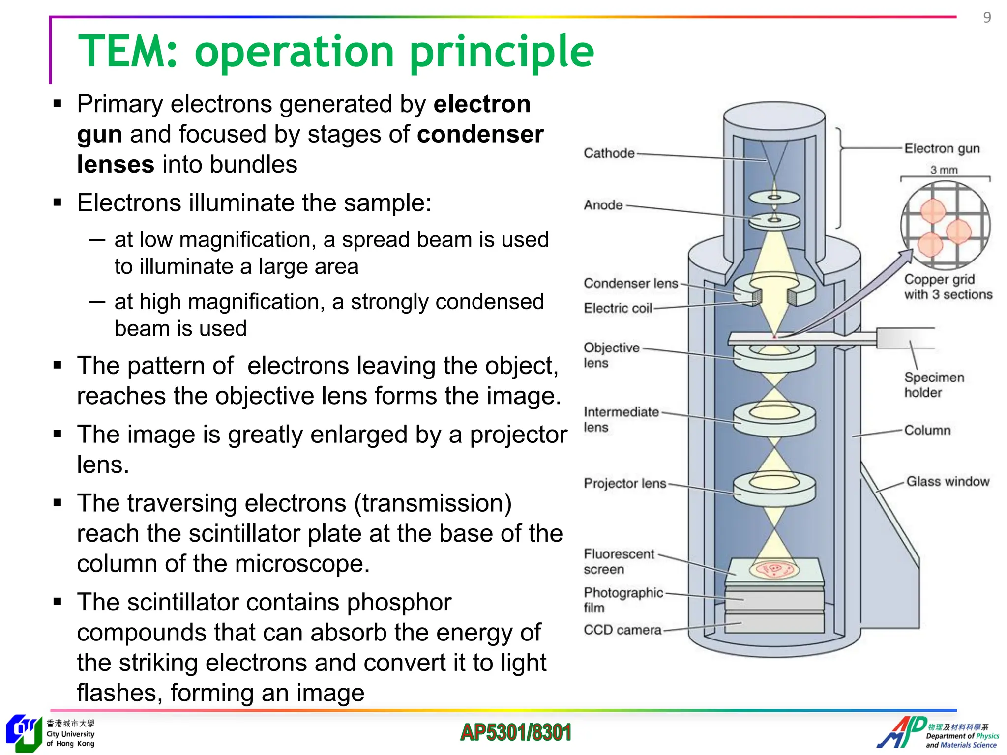 Tunneling electron Microscopy, Scanning electron microscopy | PDF