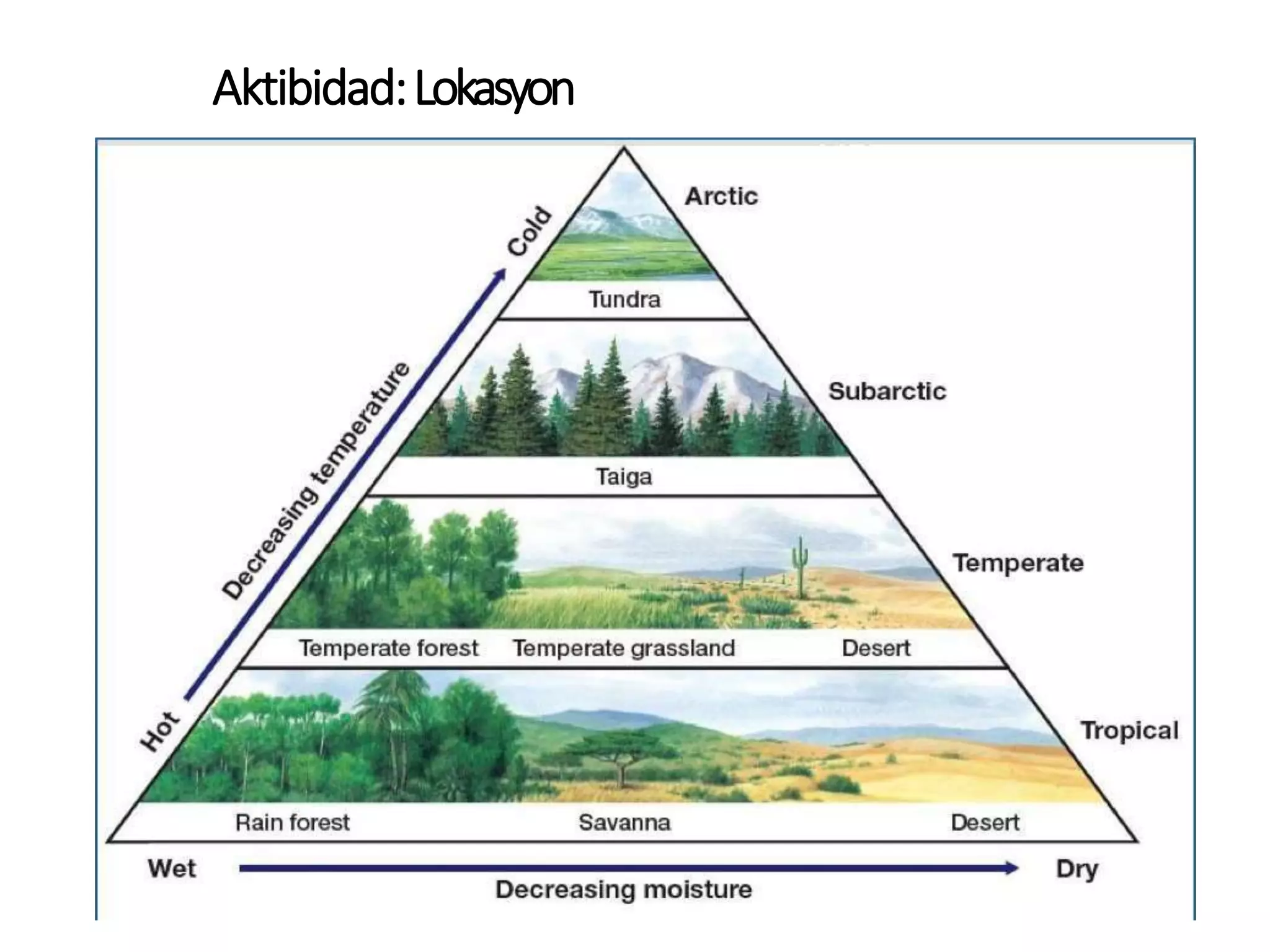 Ang Vegetation Cover Ng Asya | PPTX