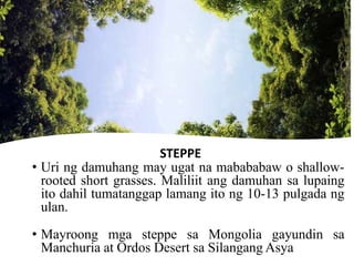 Ang Vegetation Cover Ng Asya | PPTX
