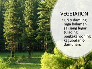 Ang Vegetation Cover Ng Asya | PPTX
