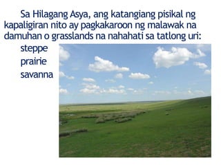 Ang Vegetation Cover Ng Asya | PPTX
