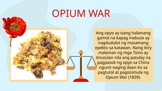 araling panlipunan kolonyalismo at imperyalismo | PPTX