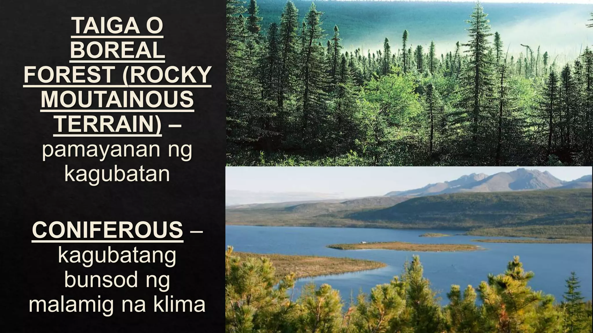 Ap7 week1-ang katangiang pisikal, klima at vegetation cover ng asya | PPTX