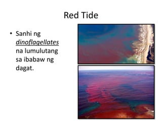 AP 7 BIODIVERSITY (UNANG MARKAHAN) .pptx