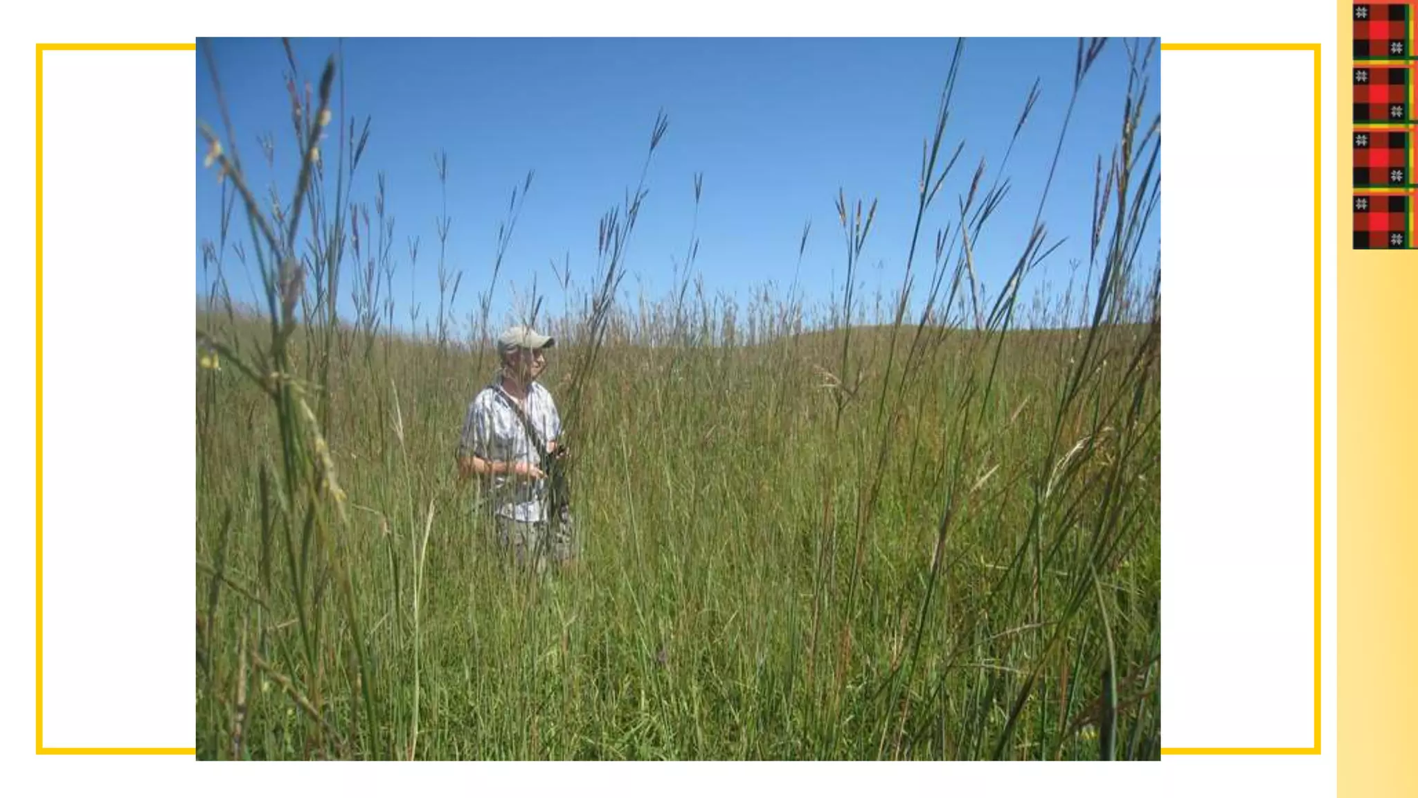 Anyong Lupa at Anyong Tubig sa Asya.pptx