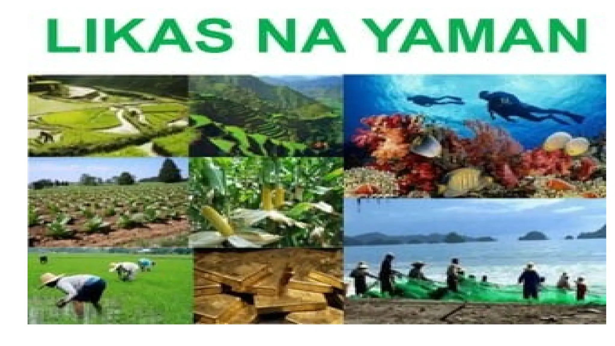 Ang Likas na Yaman ng Pilipinas at Pangkapuluang Timog-Silangang Asya] SY24_G4-10_AP_PS.pptx