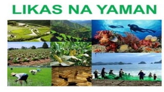 Ang Likas na Yaman ng Pilipinas at Pangkapuluang Timog-Silangang Asya] SY24_G4-10_AP_PS.pptx