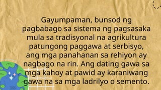 AP7 Q1 A7- Implikasyon ng Pangangalaga ng Likas na Yaman ng Timog ...