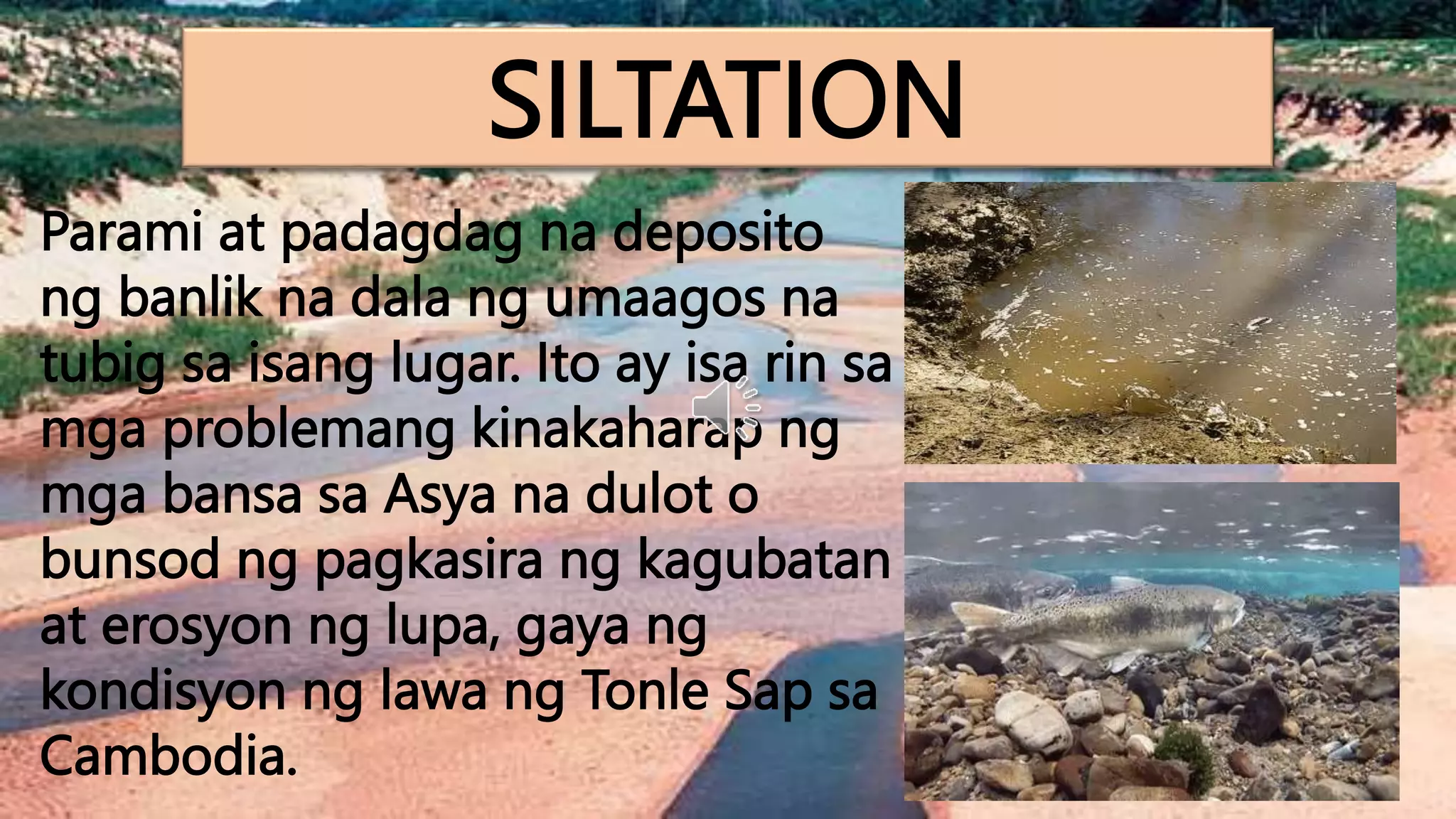 AP 7 Q1 Module 6- Biodiversity.pptx