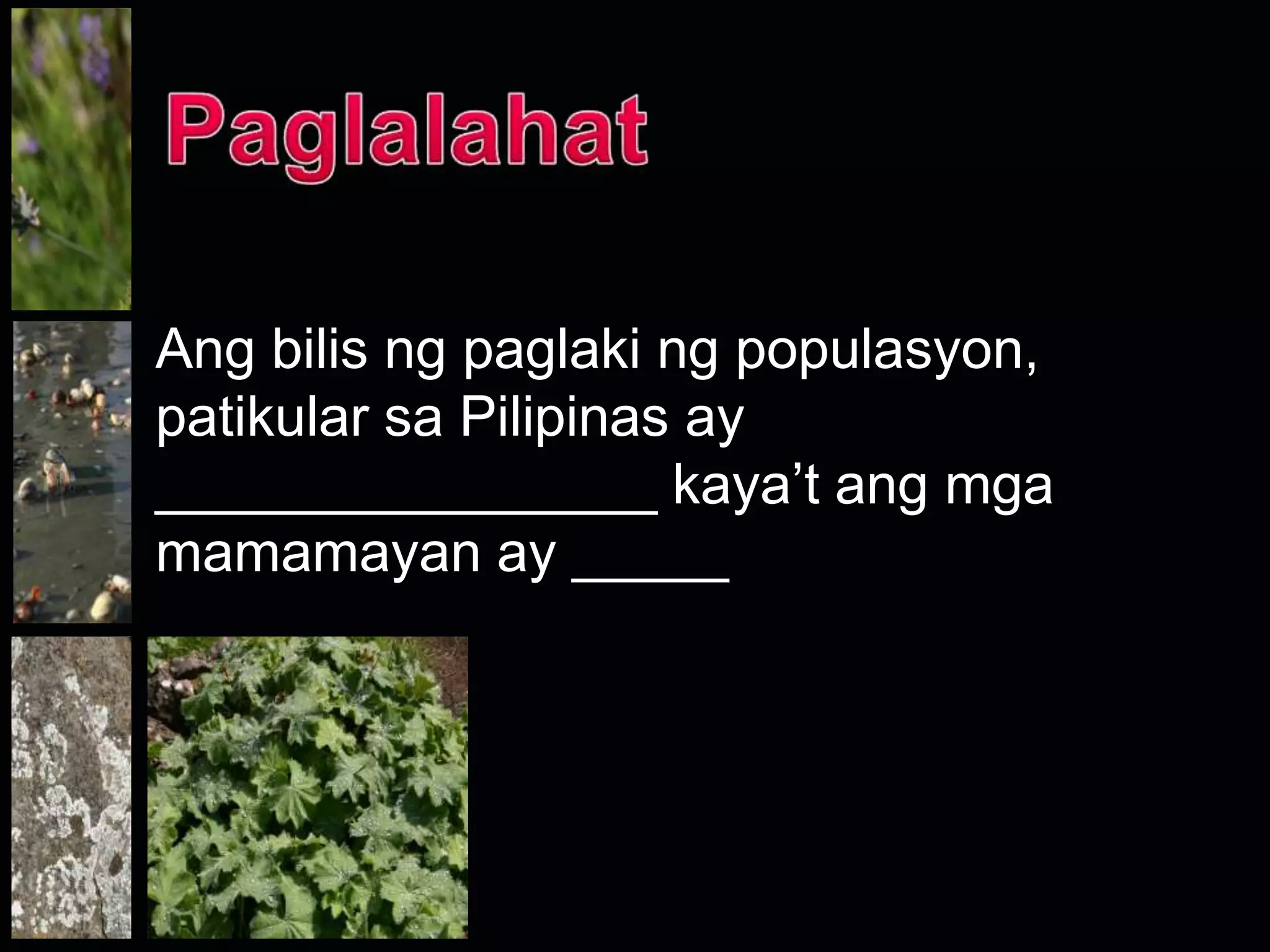 Sanhi at Epekto ng Bilis ng Paglaki ng Populasyon | PPTX
