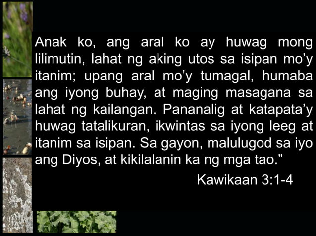 Sanhi at Epekto ng Bilis ng Paglaki ng Populasyon | PPTX