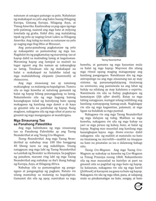 World History 8: Mga Yugto sa Pag-unlad Ng Kultura sa Panahonh ...