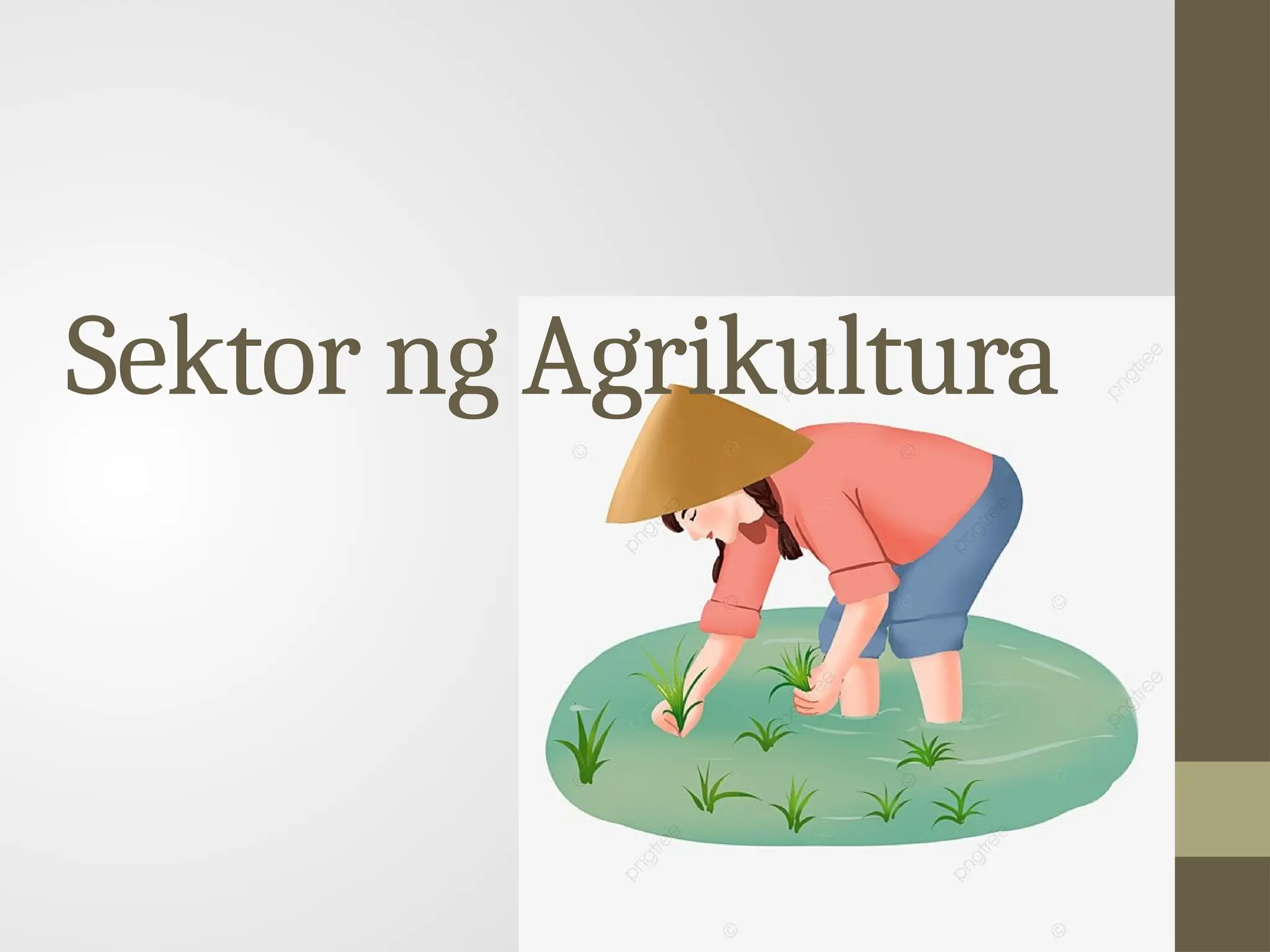 Ang Mga Sektor ng Agrikultura, paghahalaman, paghahayupan, pangugubat ...