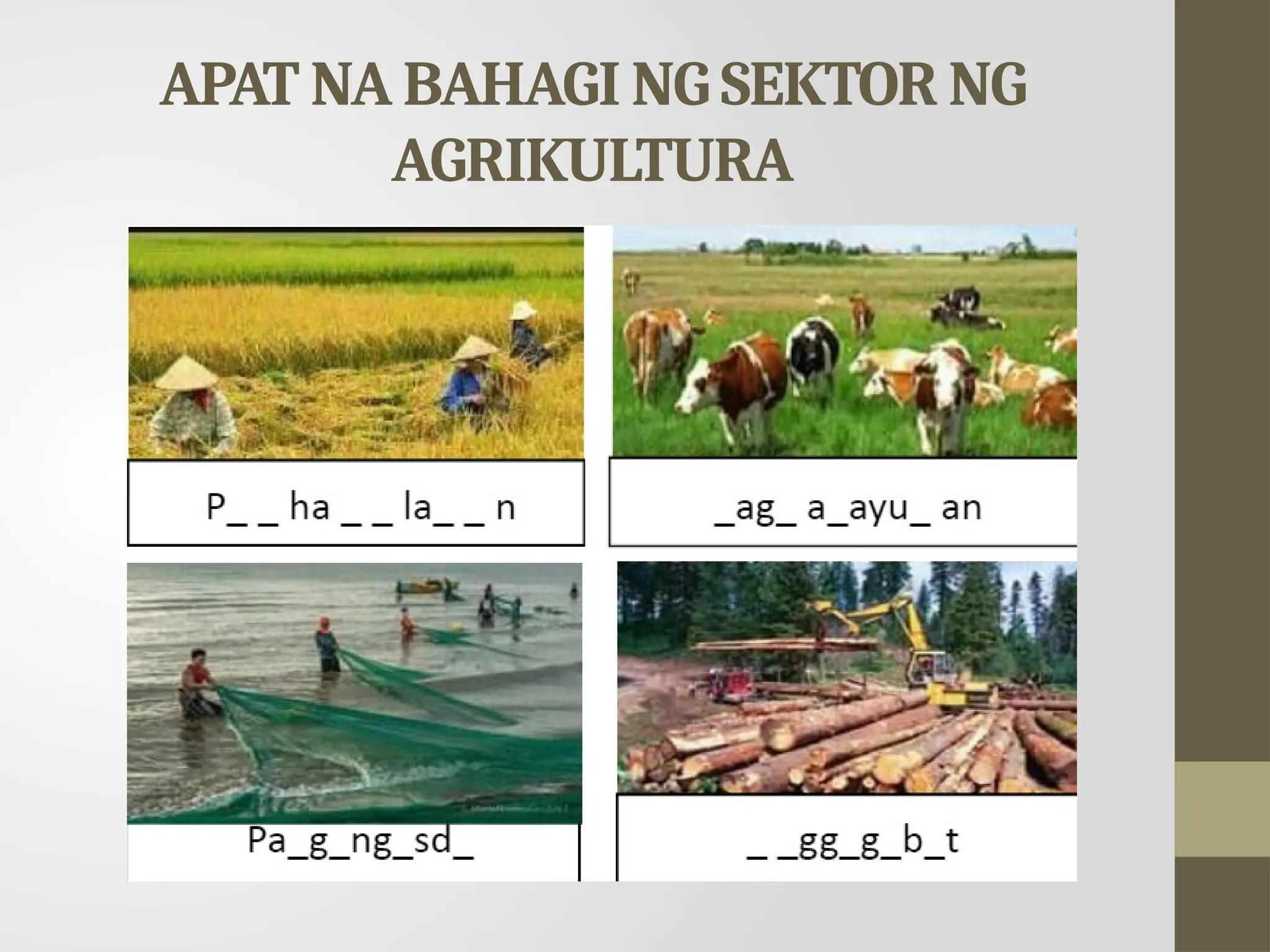 Ang Mga Sektor ng Agrikultura, paghahalaman, paghahayupan, pangugubat ...